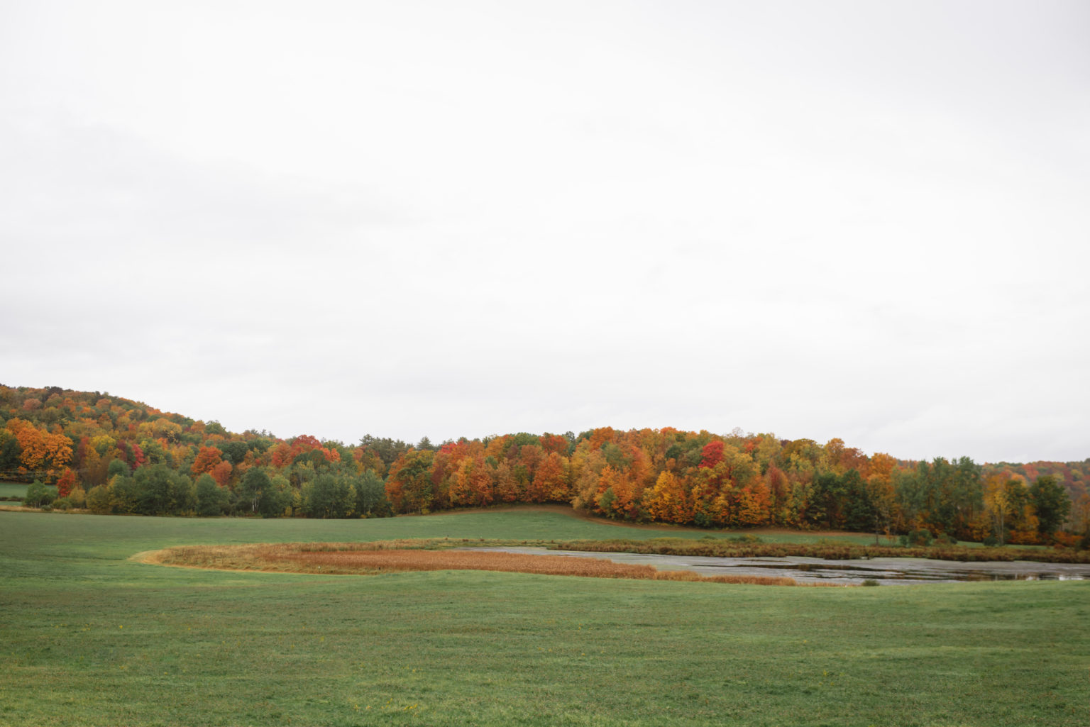 Colorful Autumnal Brunch Vermont Wedding Inspiration | Mei Lin Barral ...